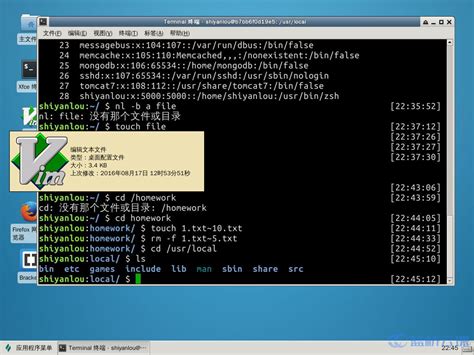 Linux 目录结构及文件基本操作 蓝桥云课