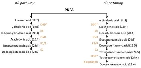 JCM Special Issue Omega 3 Fatty Acids In Health And Disease