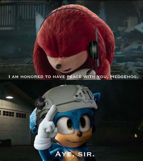 Hedgehogs And Echidnas Have A Truce By Dracoawesomeness On Deviantart