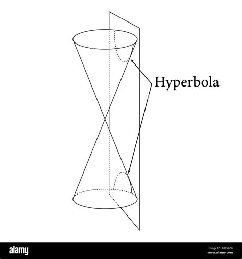 types of conic sections circle ellipse parabola and hyperbola vector illustration isolated