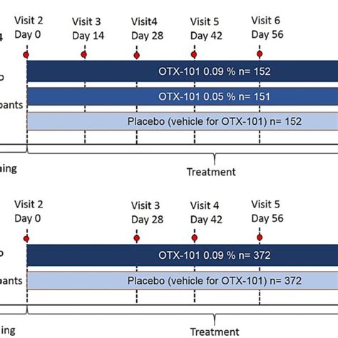 Schematic Representation Of A Phase II III And B Confirmatory Phase Download Scientific
