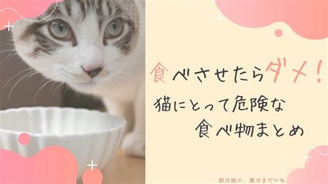 【重要】猫が食べたらダメな危険な食べ物をまとめました 銀次朗の、飯はまだかね