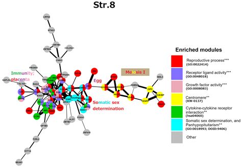 The Price Of Human Evolution Cancer Testis Antigens The Decline In