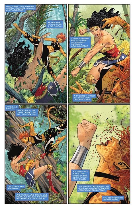 Justice League Doom Wonder Woman Versus Cheetah Fear The Fur The