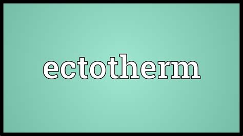 Ectotherm Meaning YouTube