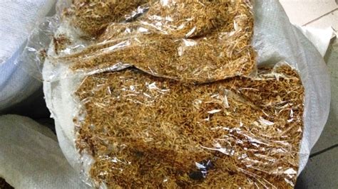 Откриха контрабандни цигари и тютюн в апартамент във Видин