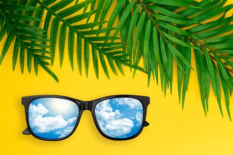 여행자 액세서리 선글라스와 열대 야자수 잎 나뭇 가지 텍스트에 대한 빈 공간이 노란색 배경에 괴물 여행 휴가 개념입니다 여름