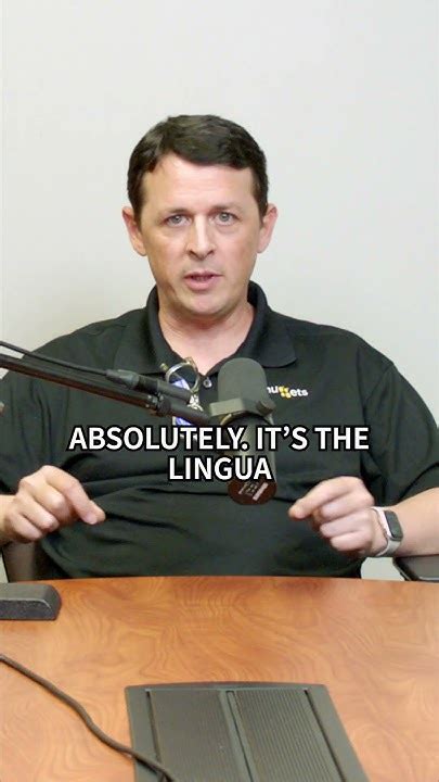 Is Learning Python Worth It Youtube