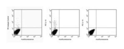 Il 10 Rat Anti Human And Viral Pe Clone Jes3 9d7 Bd 100 Tests Pe