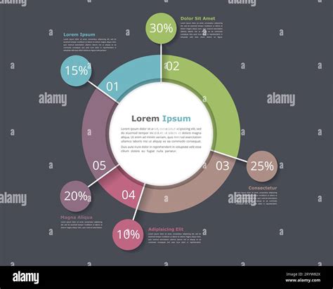 Pie Chart Design Template Business Infographics For Presentations And