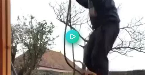 Today We Learn About Physics Album On Imgur