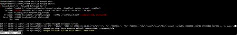 MongoDB Not Starting In Ubuntu Open Source Projects MongoDB Developer Community Forums
