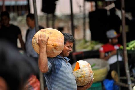भोपळ्यामुळे कुपोषणावर मात करता येणार का वाचा Bbc News मराठी