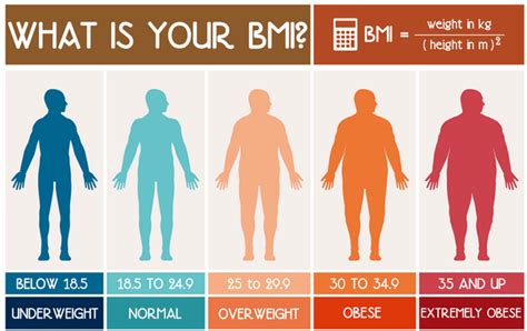 Body Fat Percentage Formula Fitwise By Diet Clinic One Of The Most