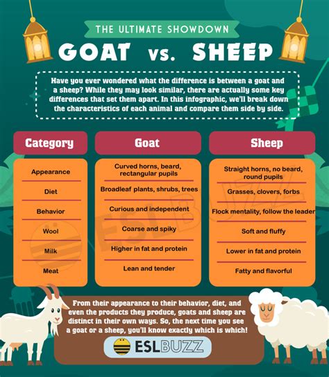 Goat vs. Sheep: Understanding the Differences and Similarities between These Popular Livestock ...