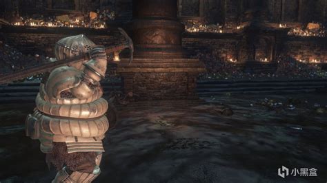 PC遊戲我最喜愛的角色 黑暗靈魂3中的洋蔥騎士 3樓貓
