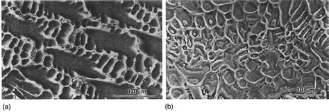 Microstructure Of Laser Melted Aisi 440c Steel A 16 Mm S 1 B 4