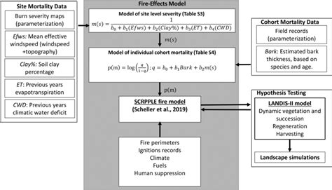 Workflow Overview Of The Fire Mortality Simulations This Highlights