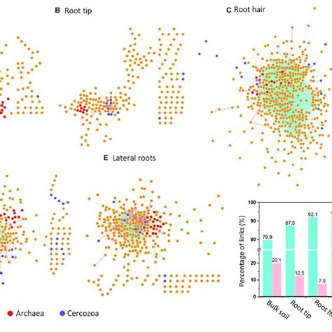 Bipartite Microbial Co Occurrence Networks Based On Correlation