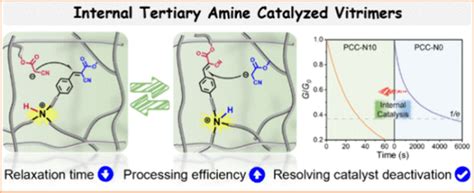 Internally Catalyzed Polarized C═c Vitrimers Macromolecules