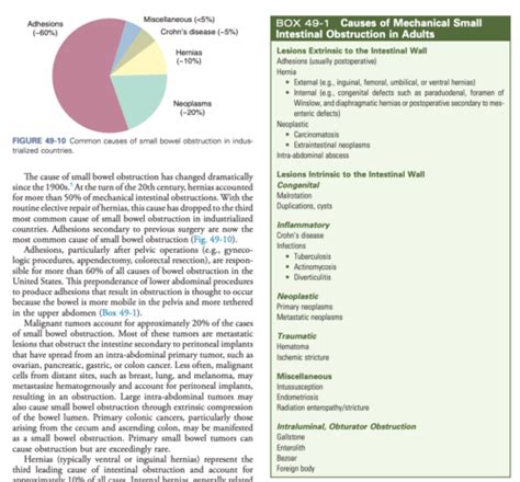 6 Bowel Obstruction Flashcards Quizlet