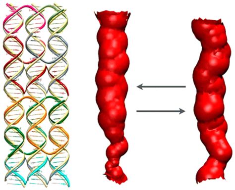 分子模拟揭示的 Dna 纳米孔支架中的门控样运动和壁孔隙率 Acs Nano X Mol