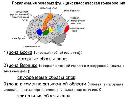 Центр брока и вернике кратко