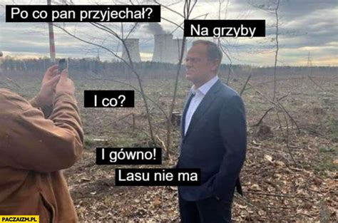 Tusk Po Co Pan Przyjechał Na Grzyby I Co I Gówno Lasu Nie Ma Paczaizmpl