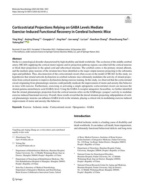 Pdf Corticostriatal Projections Relying On Gaba Levels Mediate Exercise Induced Functional