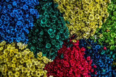 Using Environment Variables In Python By Jamel Dargan Medium