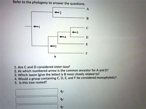 Solved Refer To The Phylogeny To Answer The Questions Are C And D