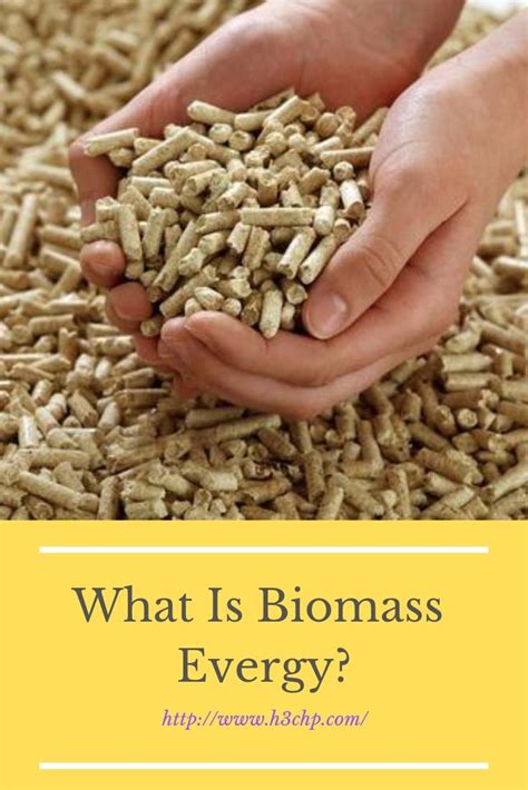 What Is Biomass Energy Biomass Energy Biomass Biogas