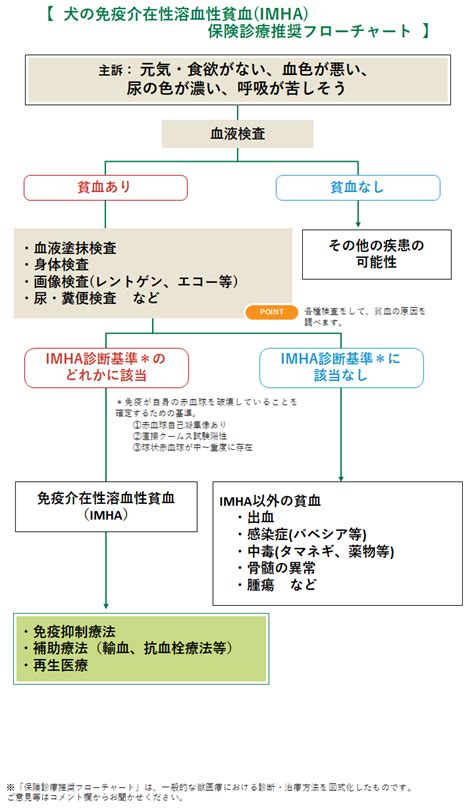 貧血 ＜犬＞ みんなのどうぶつ病気大百科