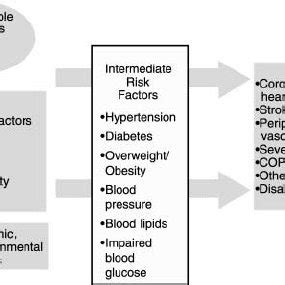 Life Course The Proposed Causal Links Source Adapted From ACC SCN