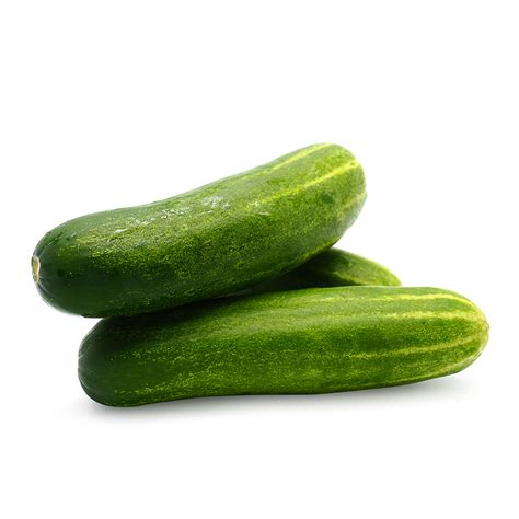 Kirby Cucumbers For Sale At Lynda Rahman Blog
