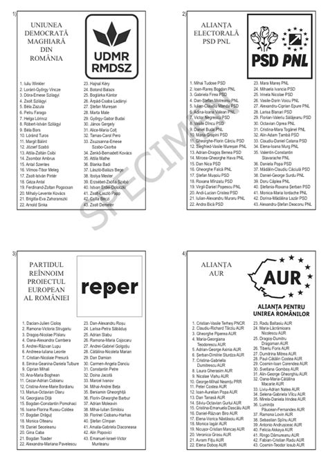 Buletinele de vot la alegerile locale și europarlamentare din 2024