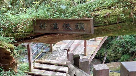 拉拉山一日遊景點推薦｜拉拉山神木群、國家森林遊樂區、巴陵大橋、角板山，2026 桃園復興山林療癒 附近景點 旅遊極短篇 Blog