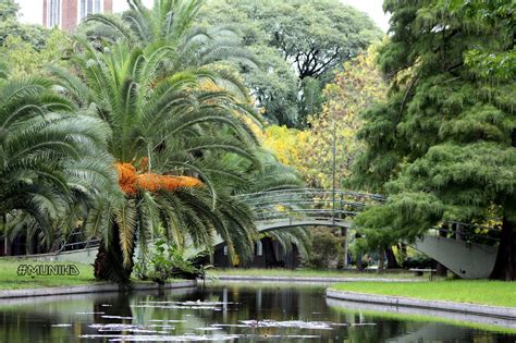 Por Siempre Muni Postales De Muni Ccba Facebook