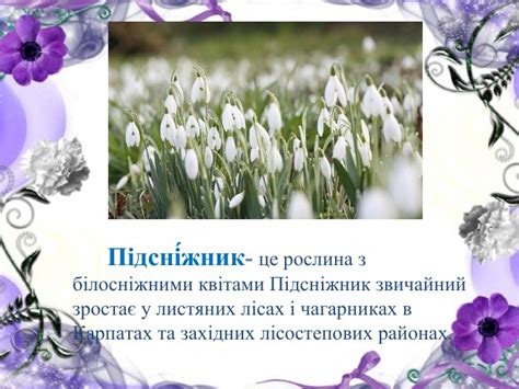 Перші весняні квіти