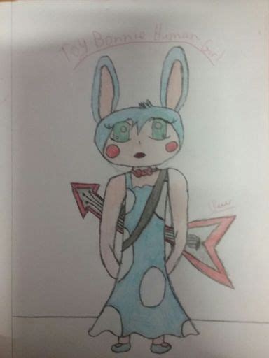 Toy Bonnie Human Girl Five Nights At Freddys Amino