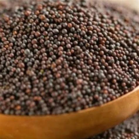 Jual Biji Sawi Sendok Pak Choy Green Shopee Indonesia