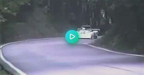 Oh Deer  On Imgur