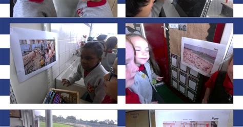 Year 1 Science The Five Senses Darwen St James C Of E Primary Academy