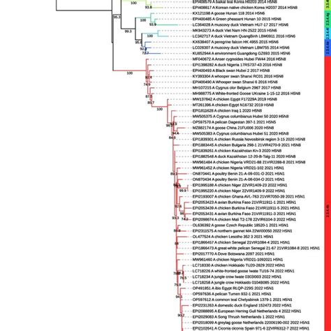 Ml Phylogenetic Tree Of H5 Gene Sequences 1704 Bp From Download Scientific Diagram