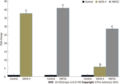 Gene Expression Analysis Of Gata Binding Protein 4 And Myocyte Enhancer