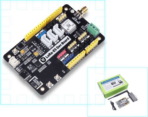 Lora Series