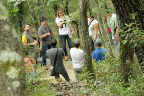 Living Labs Reforest Project
