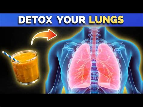 Top 15 Herbs That Can Kill Infections And Clear Mucus From The Lungs