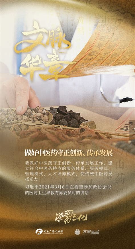 文脉华章做好中医药守正创新、传承发展 许昌网