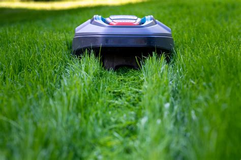 Do Robot Lawnmowers Work In The Rain Find Out Here Homes Guide
